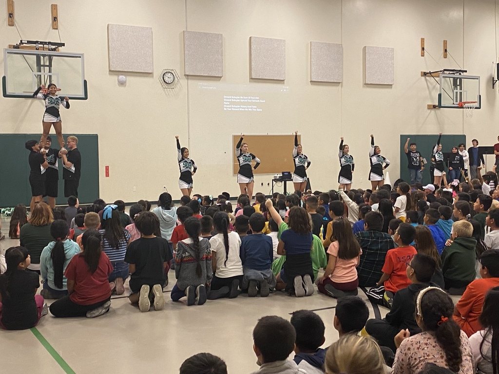 Live Feed | Schuyler Elementary School